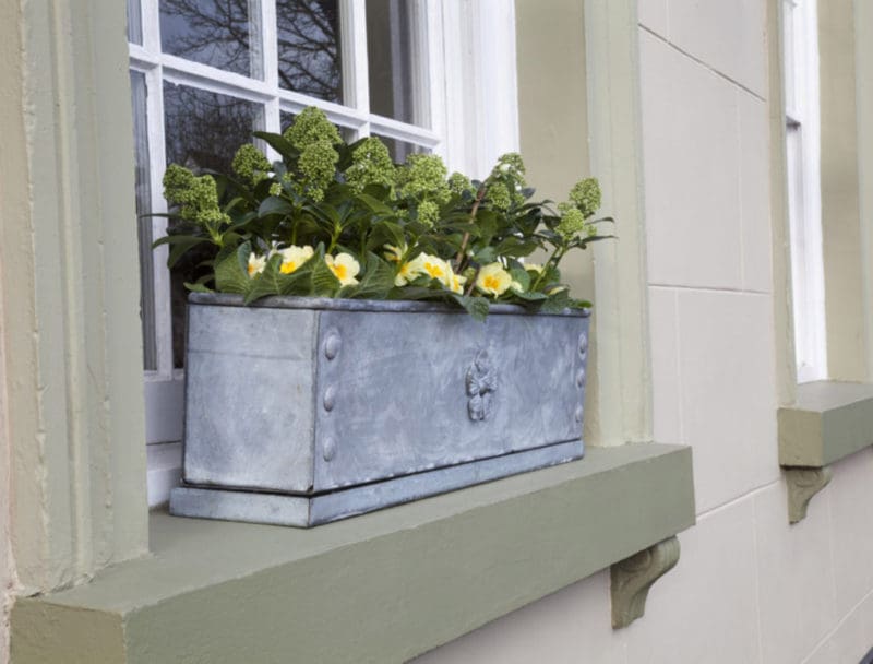 Window Boxes | Arthur Jack