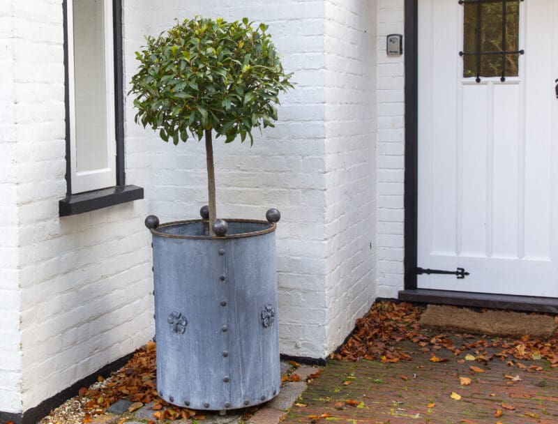 Planters | Arthur Jack