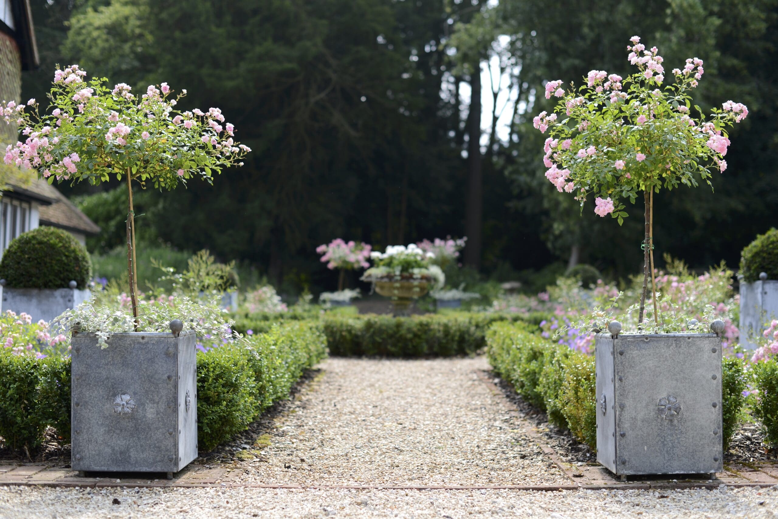 Why Buy a Galvanised Steel Planter for Your Garden | Arthur Jack